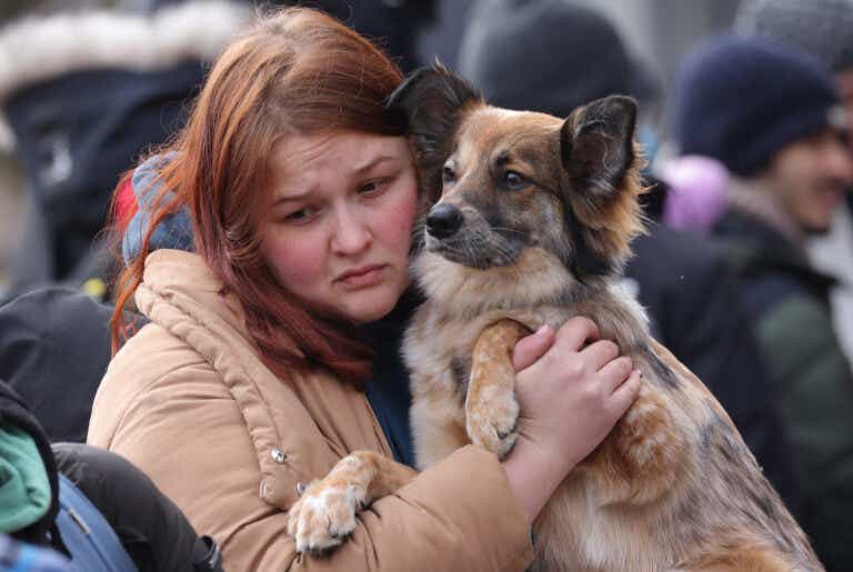 What's Happening To Ukraine's Pets? | KCM