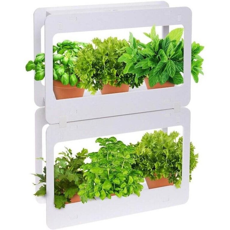 9 Best Indoor Herb Gardens for Growing Your Own Food | KCM