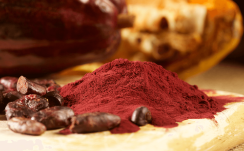 Health Benefits of Cocoa Flavanols for Aging, Memory, Heart & Brain