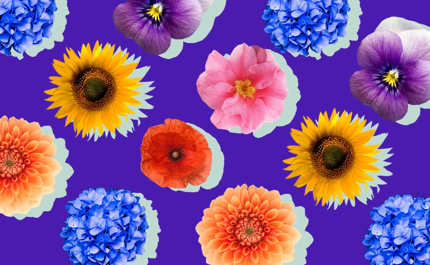 What Flowers Are In Season Right Now? - Seasonal Flowers Calendar