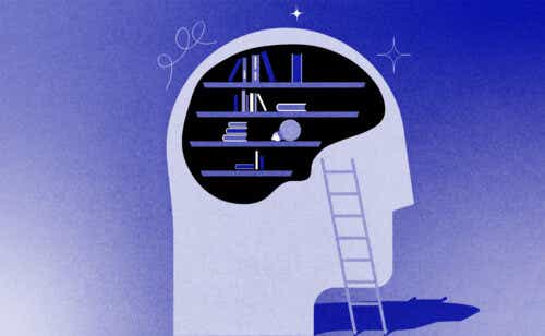 Everything You've Ever Wanted to Know About Brain Health