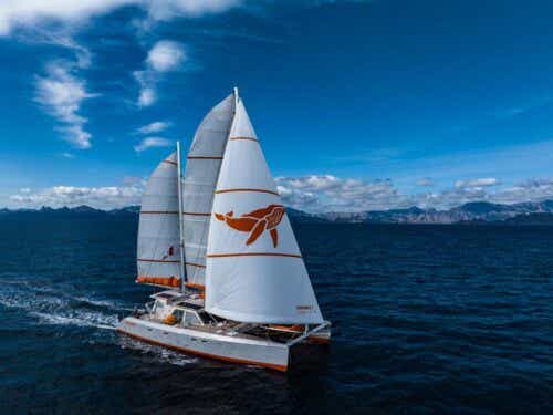 Katie Couric and John Molner Join Paul Nicklen Whale Watching