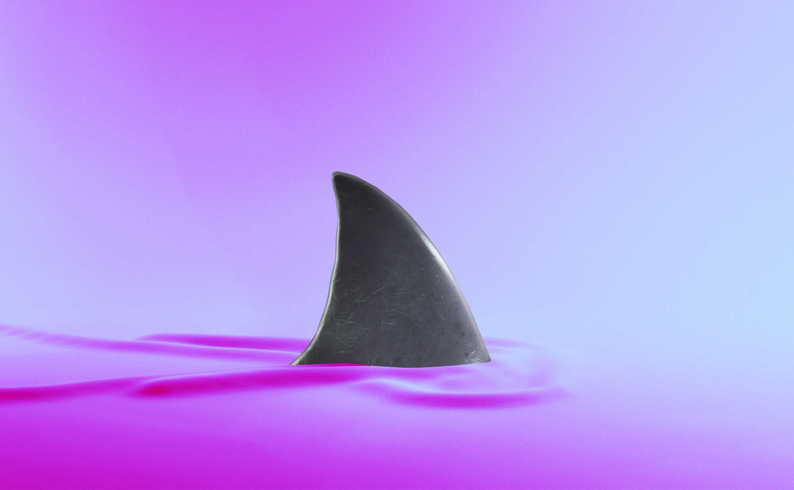 What's It Like to Pitch on Shark Tank? Behind the Scenes Secrets | KCM