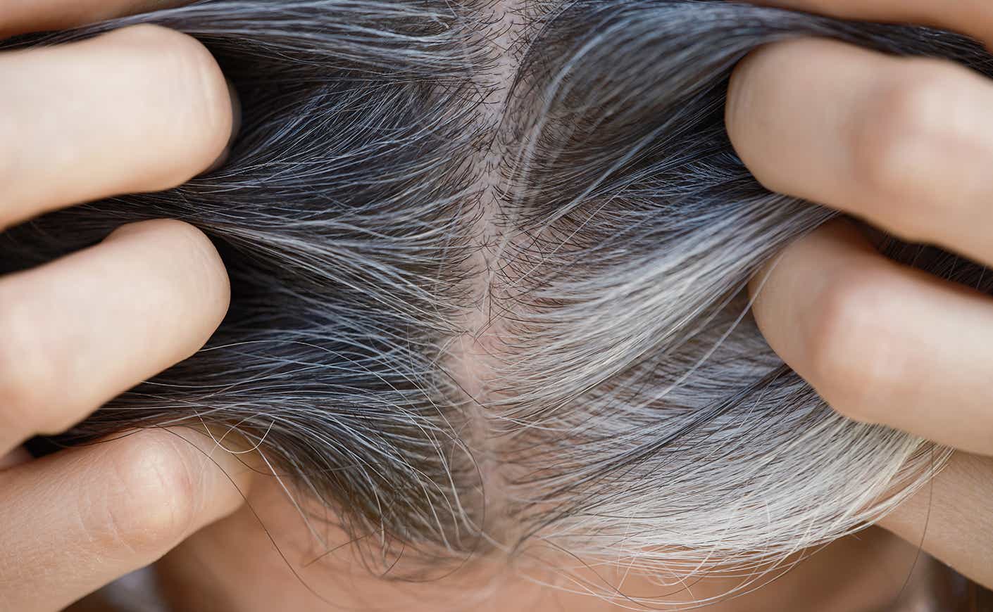 Why Does Hair Turn Gray? A New Study Sheds Light