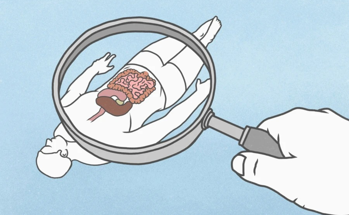 What Is Digestion: How long it Takes to Digest Food, Diarrhea Causes