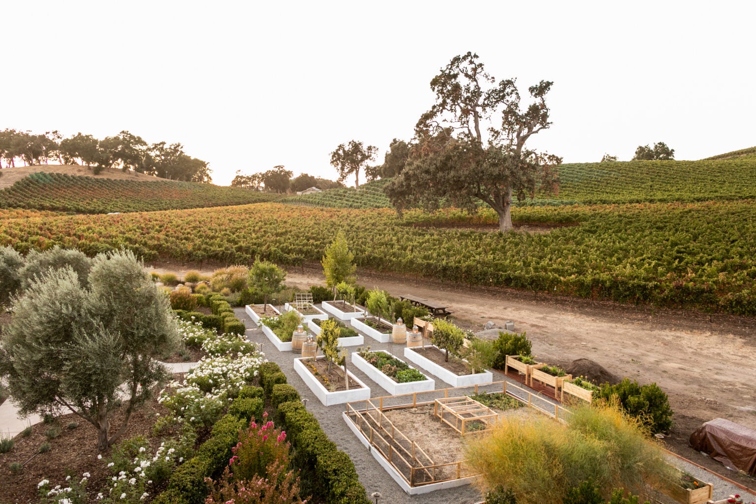 What to Do During a Visit to Justin Winery for Paso Robles Wine