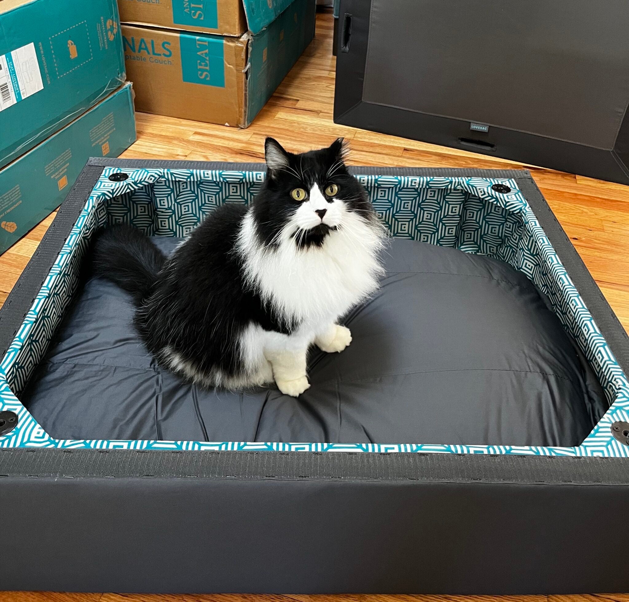 Lovesac Sactional Couch Review: Sectional Price & Stealthtech