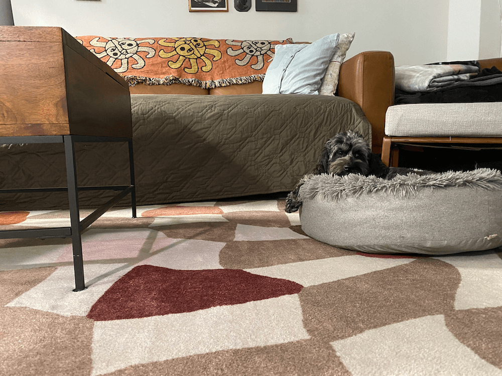 Ruggable Washable Rug Review: Do They Work? | KCM