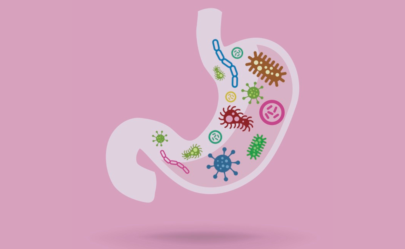 What is Norovirus: Symptoms, Hand Sanitizer, Contagious, Length